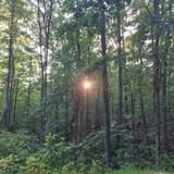 Cedar Ridge Trail Loop, North Carolina - 660 Reviews, Map | AllTrails