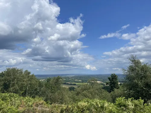 10 Best Trails, Walks, and Paths in Haslemere | AllTrails