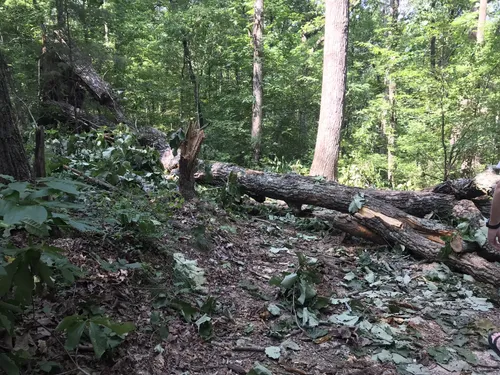 Best Hikes and Trails in Red Clay State Park | AllTrails