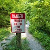 Red Bird Hollow Trail, Ohio - 173 Reviews, Map | AllTrails