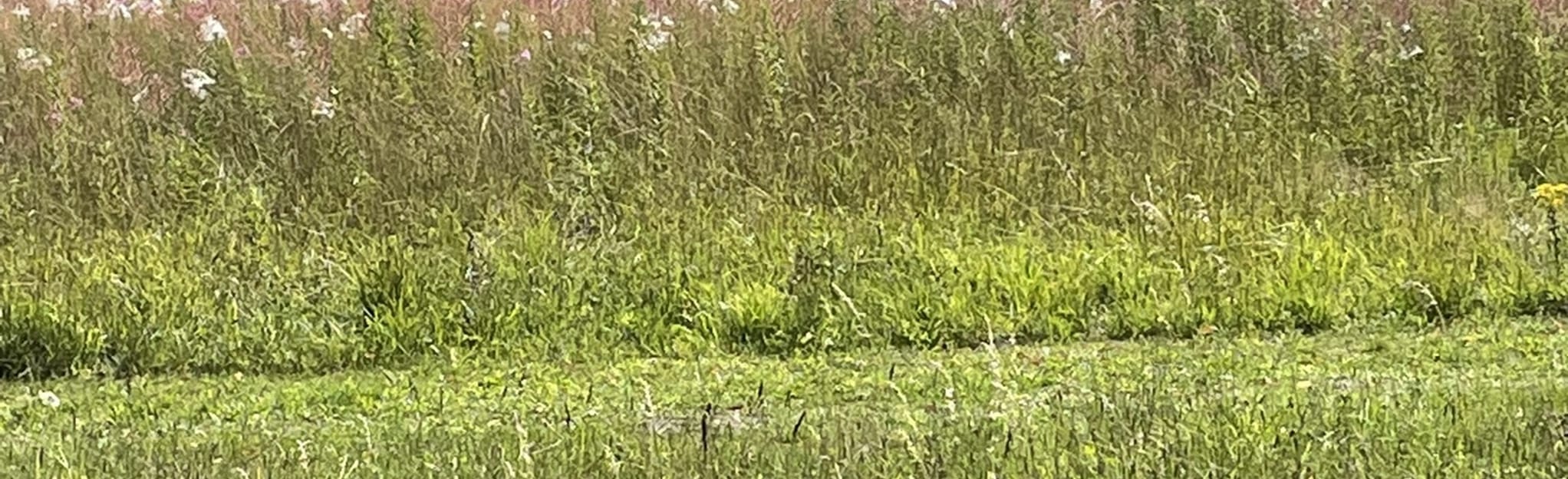 Vestvolden I Rødovre, Capital Region of Denmark, Denmark - 13 Reviews ...