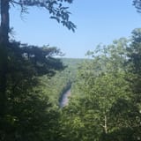Allegheny Front Trail, Pennsylvania - 240 Reviews, Map | AllTrails