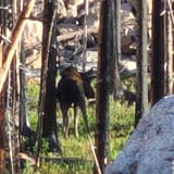 North Inlet and Tonahutu Creek Loop, Colorado - 188 Reviews, Map ...