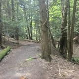 Sprague Brook Park Trail, New York - 1,219 Reviews, Map | AllTrails