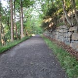 Back Mountain Trail, Pennsylvania - 401 Reviews, Map | AllTrails