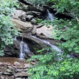 Back Mountain Trail, Pennsylvania - 401 Reviews, Map | AllTrails
