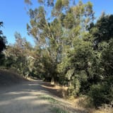 Murphy Ranch Trail , California - 1,265 Reviews, Map | AllTrails