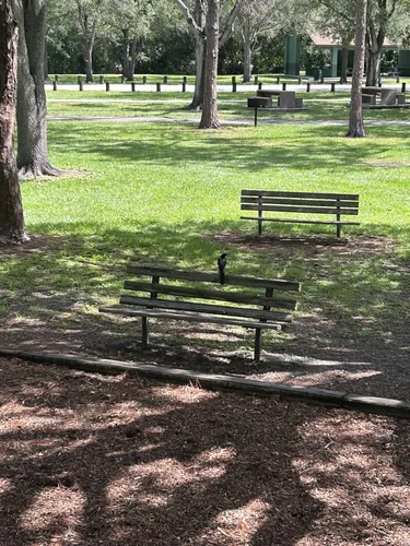 Best Hikes and Trails in Al Lopez Park | AllTrails