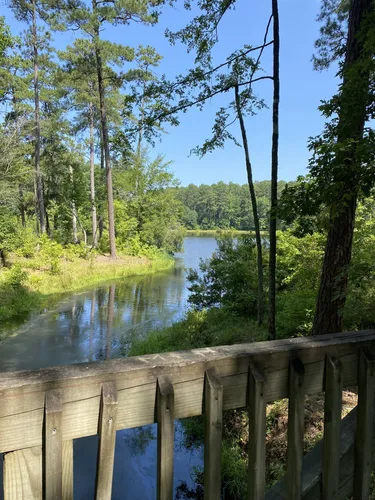 Best Hikes and Trails in A.H. Stephens State Park | AllTrails