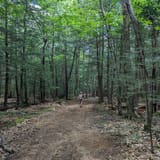 Brook Trail, New Hampshire - 1,167 Reviews, Map | AllTrails