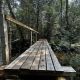 Calamity Brook Trail to Lake Colden, New York - 308 Reviews, Map ...