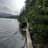 Calamity Brook Trail to Lake Colden, New York - 308 Reviews, Map ...