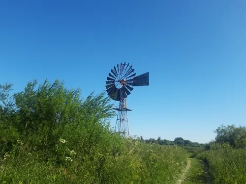 Best Hikes and Trails in Wheldrake Ings Nature Reserve | AllTrails