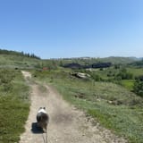 Cochrane Ranch House Trail, Alberta, Canada - 144 Reviews, Map | AllTrails