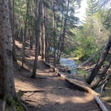 Cochrane Ranch House Trail, Alberta, Canada - 144 Reviews, Map | AllTrails