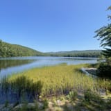 Lower Hadlock Pond Loop Trail, Maine - 569 Reviews, Map | AllTrails