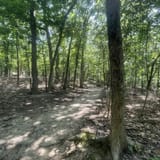White Cliff Quarry Park, Missouri - 549 Reviews, Map | AllTrails