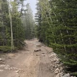 Bunce School Road, Colorado - 91 Reviews, Map | AllTrails