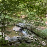 North Fork Moormans River, Virginia - 672 Reviews, Map | AllTrails