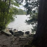 Lake Padden Singletrack, Washington - 1,442 Reviews, Map | AllTrails