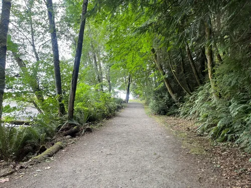 Best Hikes and Trails in Tolmie State Park | AllTrails