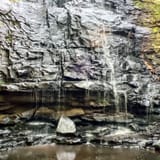 Denny Cove Waterfall Trail , Tennessee - 988 Reviews, Map | AllTrails