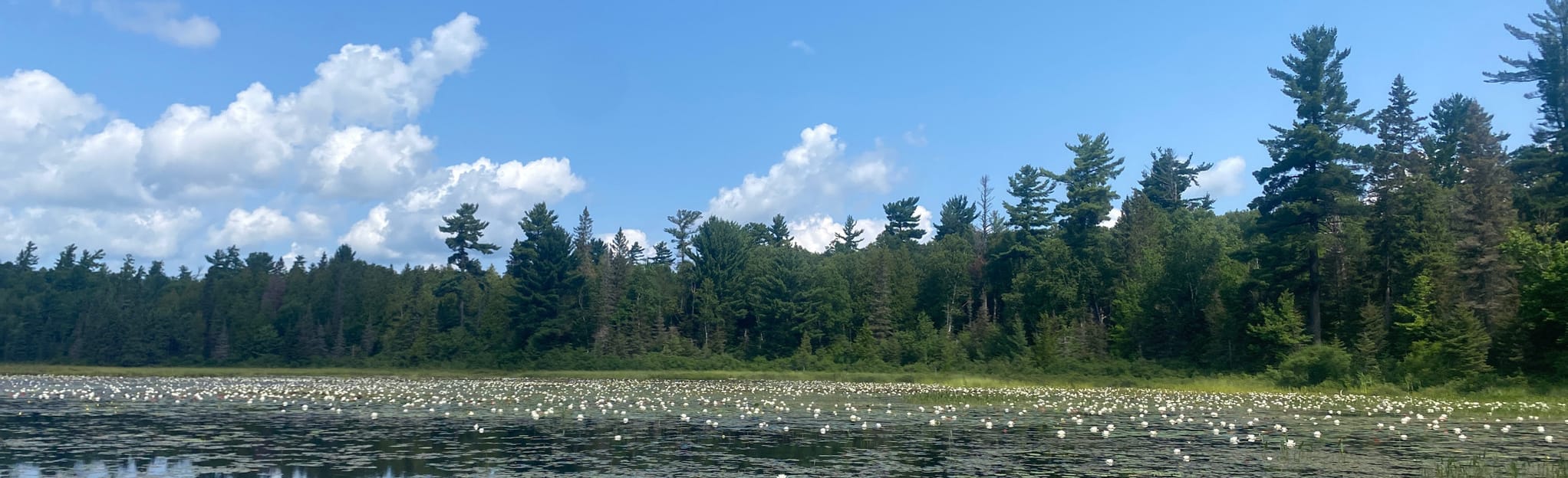 Marten River Paddle, Ontario, Canada - 7 Reviews, Map | AllTrails