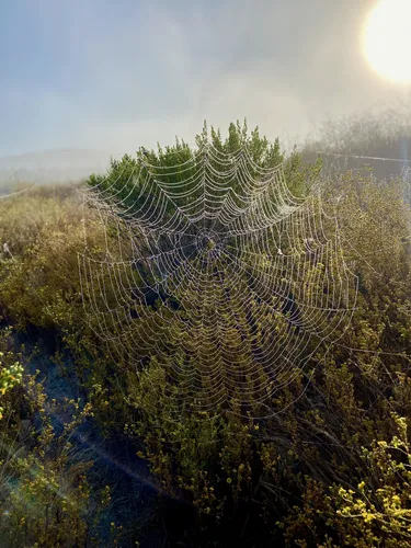 Best Hikes and Trails in Camp Pendleton | AllTrails
