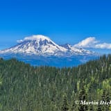 Lily Basin Trail, Washington - 92 Reviews, Map | AllTrails