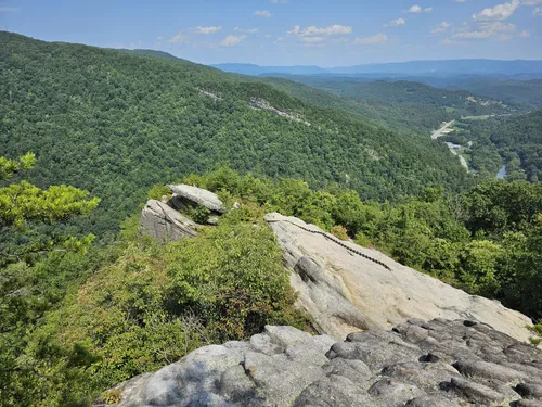 2023 Best Wild Flowers Trails in Calvin | AllTrails