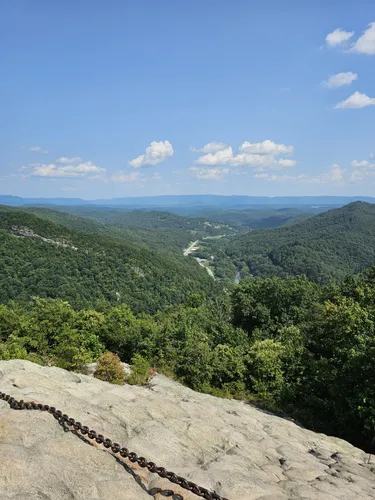 2023 Best Wild Flowers Trails in Calvin | AllTrails