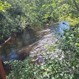 Winding River Park Trail, New Jersey - 579 Reviews, Map | AllTrails