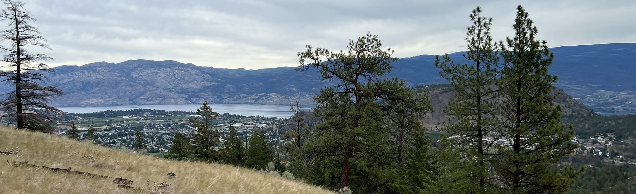 Conkle Mountain via Midline: 11 Reviews, Map - British Columbia, Canada ...