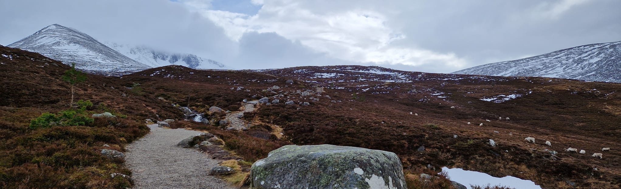 Ben Macdui Summit, Highlands, Scotland - 193 Reviews, Map | AllTrails