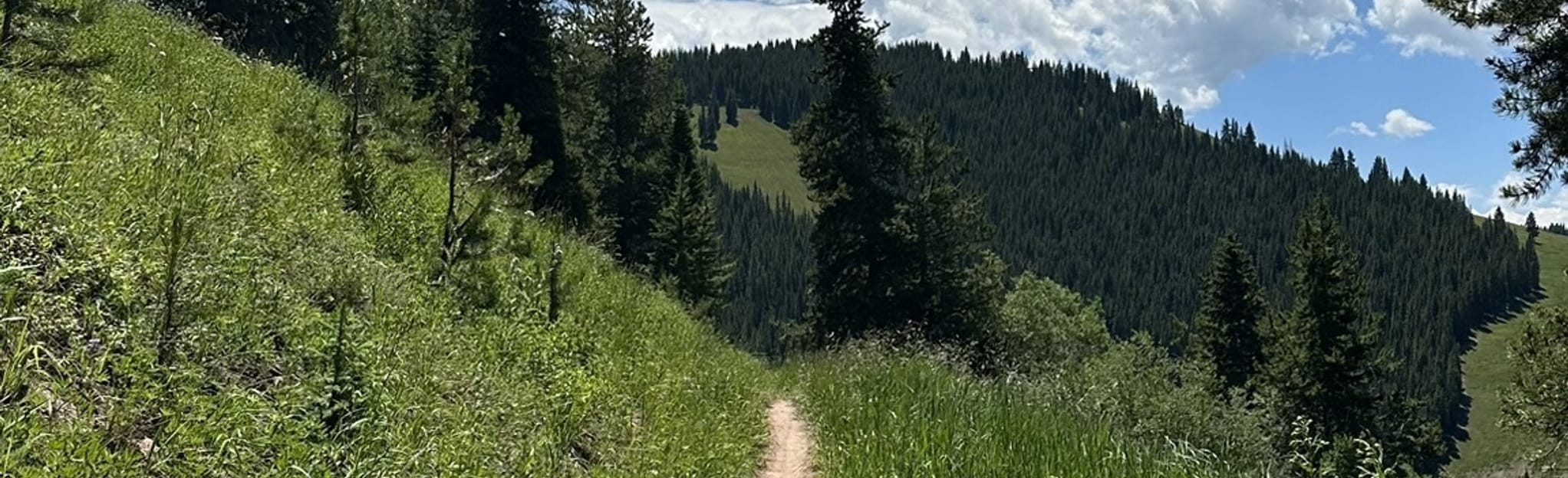 The Grand Traverse Trail, Colorado - 51 Reviews, Map | AllTrails