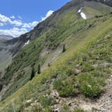 Ballard Mountain Trail, Colorado - 349 Reviews, Map | AllTrails