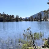 Grass Lake, California - 507 Reviews, Map | AllTrails