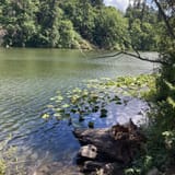 Lake Fenwick, Washington - 666 Reviews, Map | AllTrails