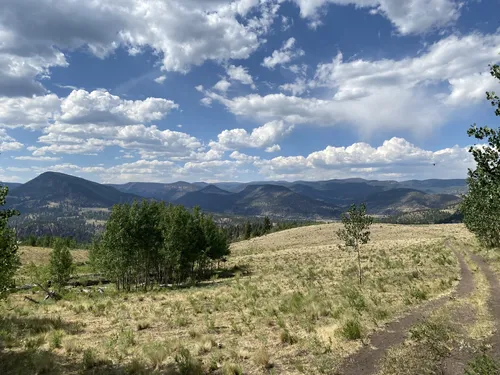 10 Best Hikes and Trails in Rio Grande National Forest, Divide Ranger ...
