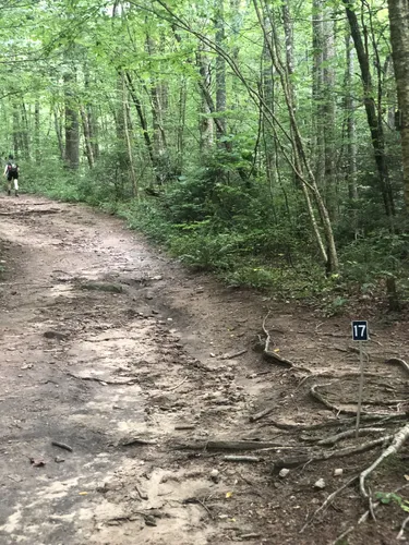 Best Hikes and Trails in Sky Valley | AllTrails