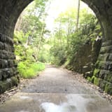 Poe Paddy Tunnel Loop, Pennsylvania - 69 Reviews, Map | AllTrails