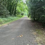 High Point Trail, Washington - 214 Reviews, Map | AllTrails