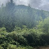 High Point Trail, Washington - 214 Reviews, Map | AllTrails