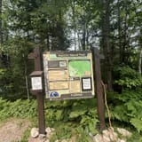 Angleworm Lake Trail, Minnesota - 108 Reviews, Map | AllTrails