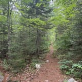 Angleworm Lake Trail, Minnesota - 108 Reviews, Map | AllTrails