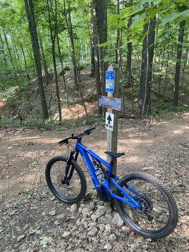 Best Hikes and Trails in Cable | AllTrails