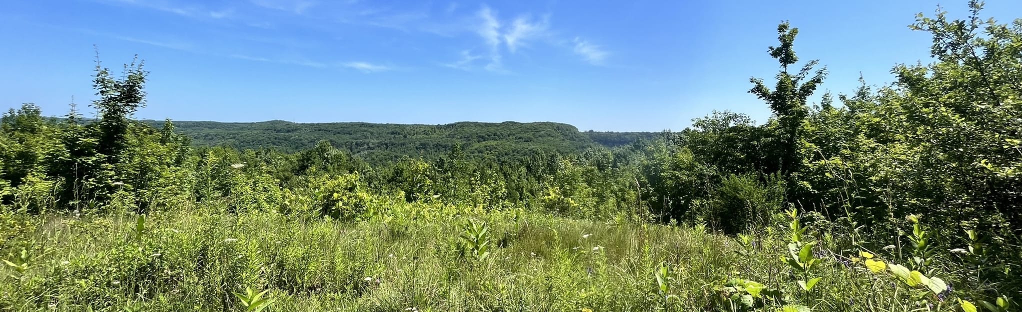 Falling Water Trail Marathon: 15 Reviews, Map - Ontario, Canada | AllTrails