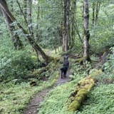 Ledgeview Extended Loop, British Columbia, Canada - 168 Reviews, Map ...