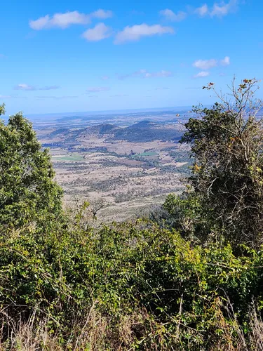 Best Hikes and Trails in Bunya Mountains National Park | AllTrails