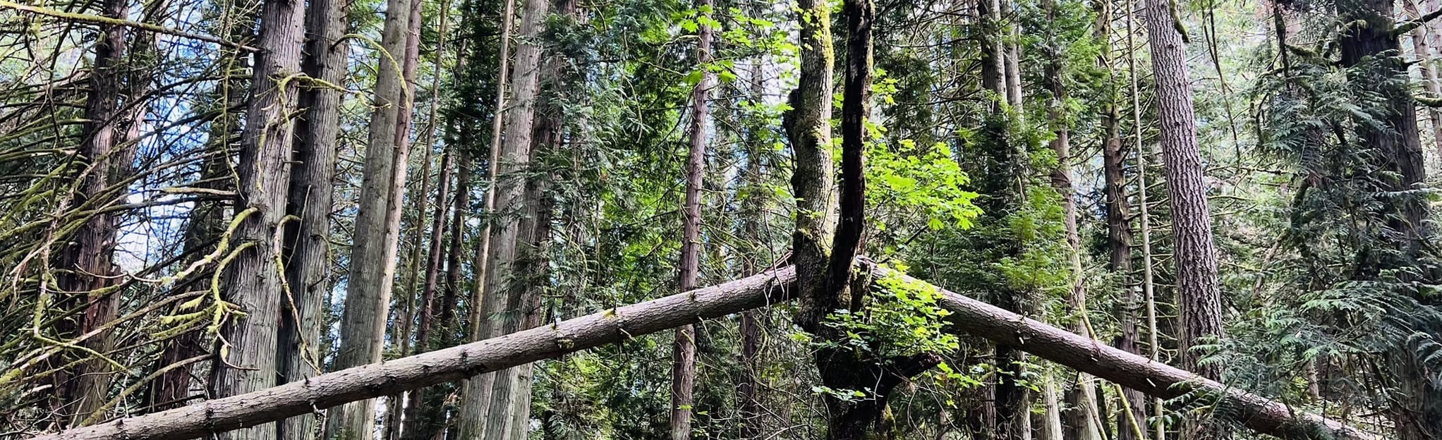 Beaver Point to King Cove: 27 Reviews, Map - British Columbia, Canada ...